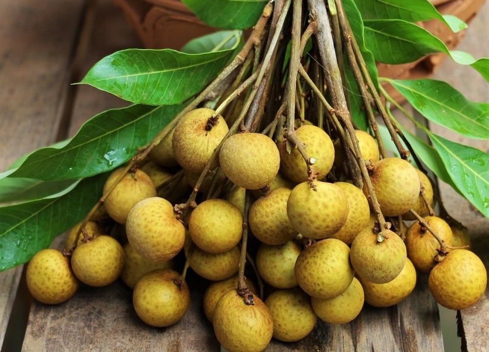 Datharany.com | Carnet de voyage et découvertes